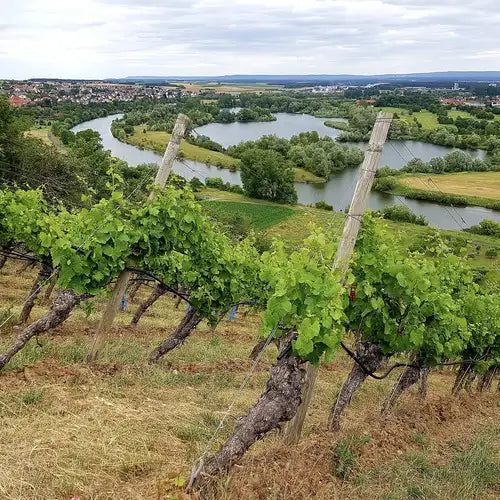 Franken - Ehrliche Weine mit Charakter | Weinvertikale